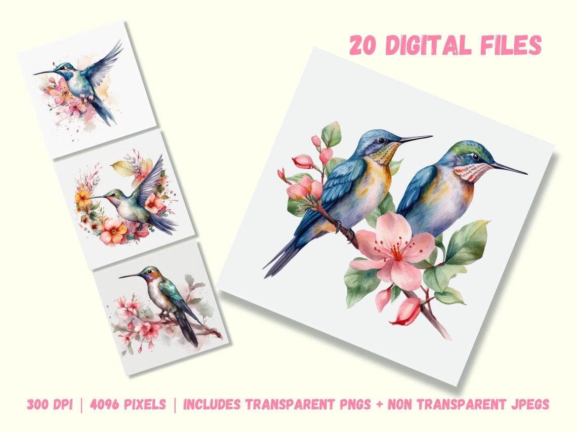 Watercolor Hummingbird Clipart Hummingbird PNG Clip Art - Etsy