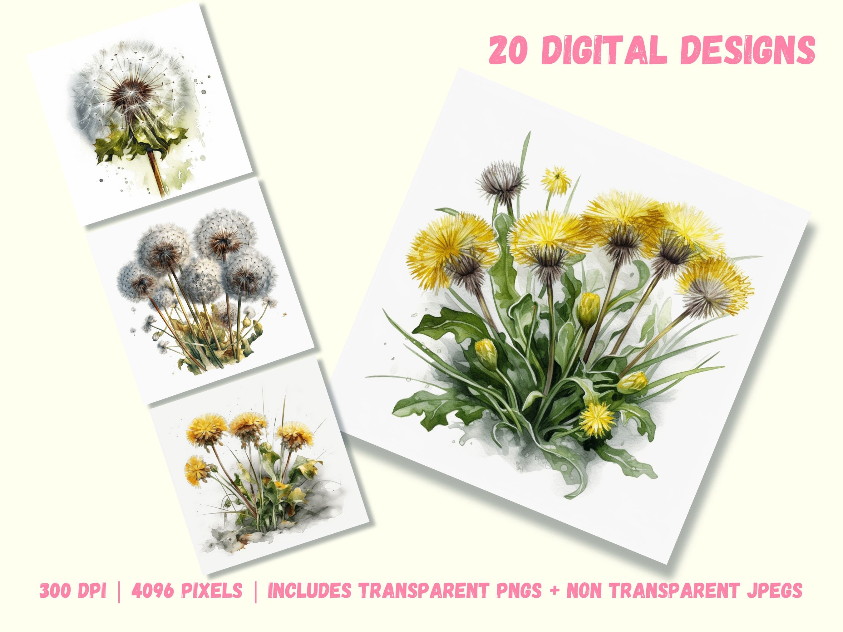 Watercolor Dandelion Clipart Dandelion PNG Digital Illustration Bundle ...