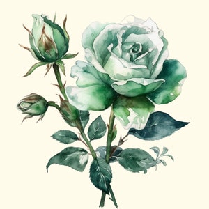 Emerald Flower Clipart Bundle of 20 Flower Clipart Watercolor Emerald ...