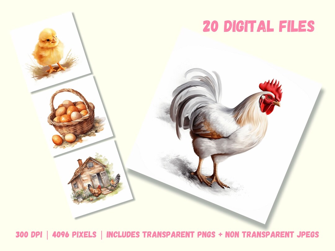 Watercolor Chicken Clipart Bundle of 20 Watercolor Chicken Clipart ...