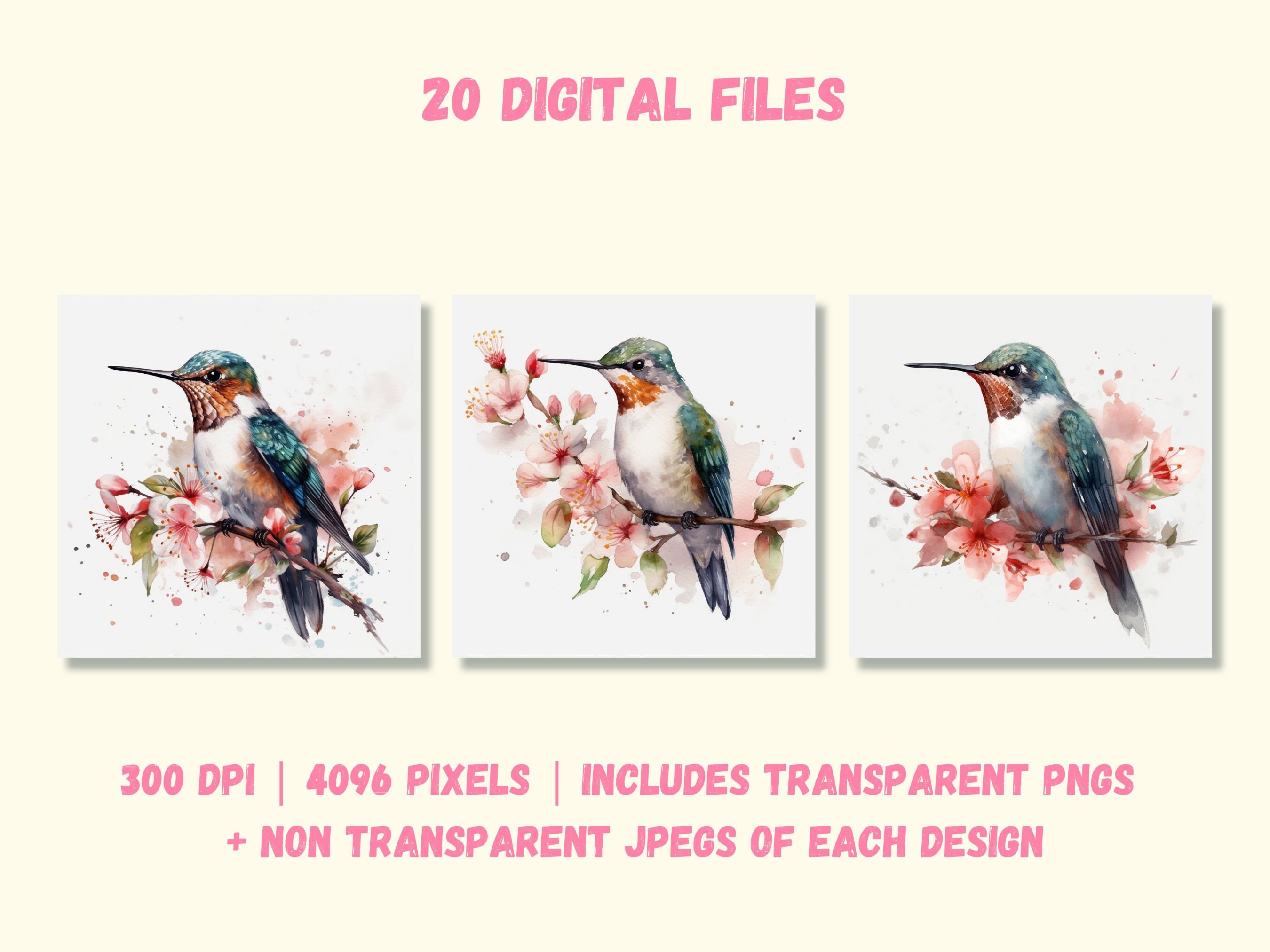 Watercolor Hummingbird Clipart Hummingbird PNG Clip Art Digital ...