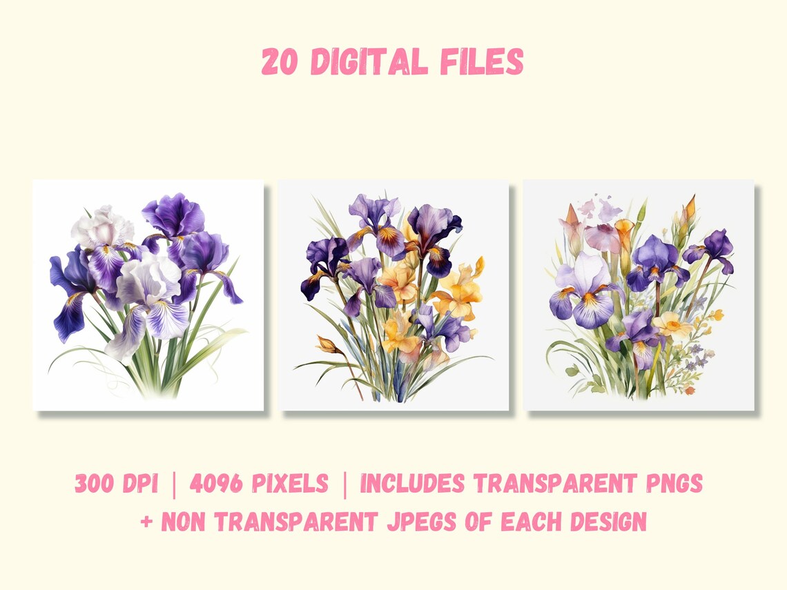 Wild Iris Clipart Bundle of 20 PNG Watercolor Wild Iris - Etsy