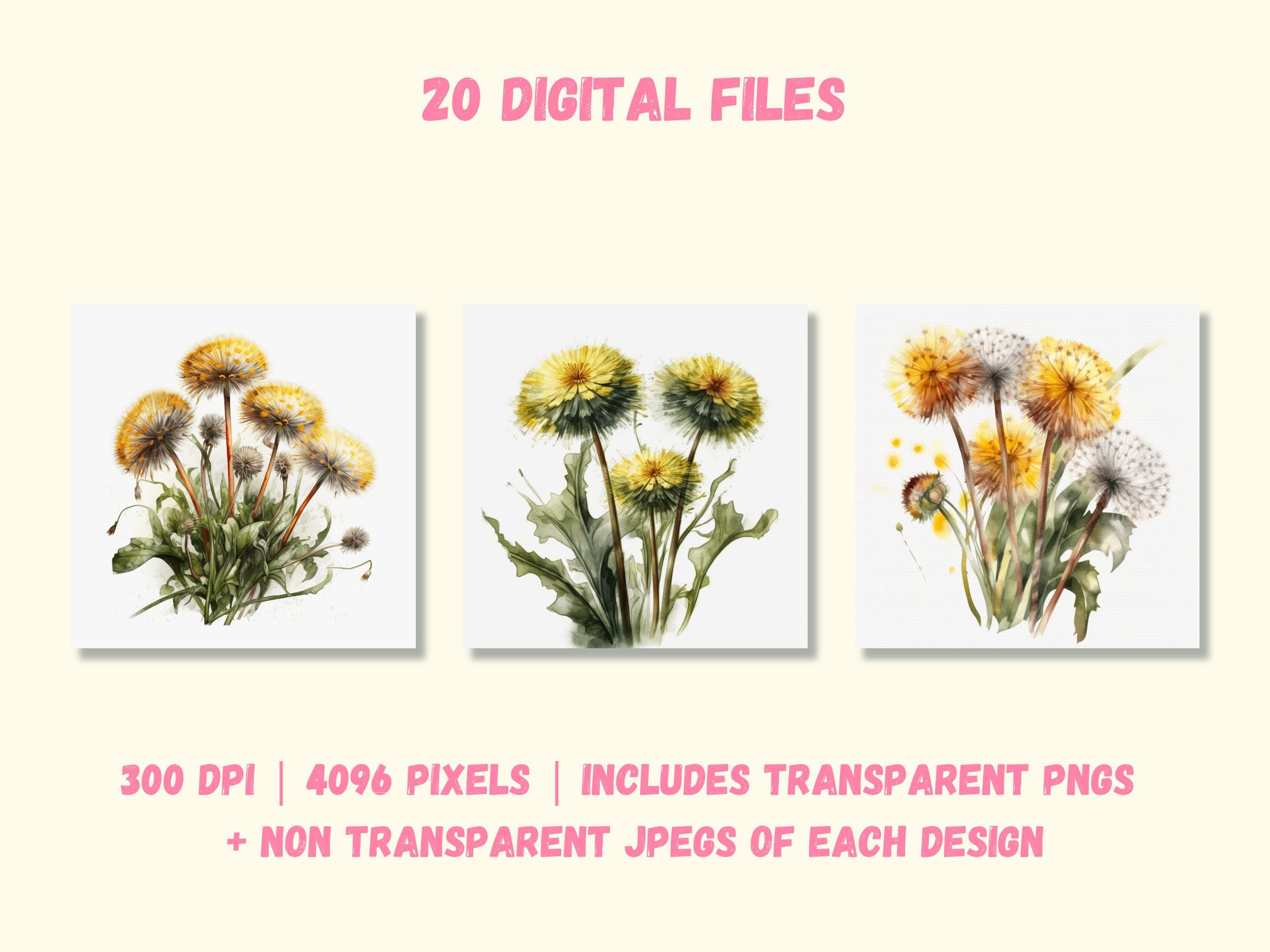Watercolor Dandelion Clipart Dandelion PNG Digital Illustration Bundle ...