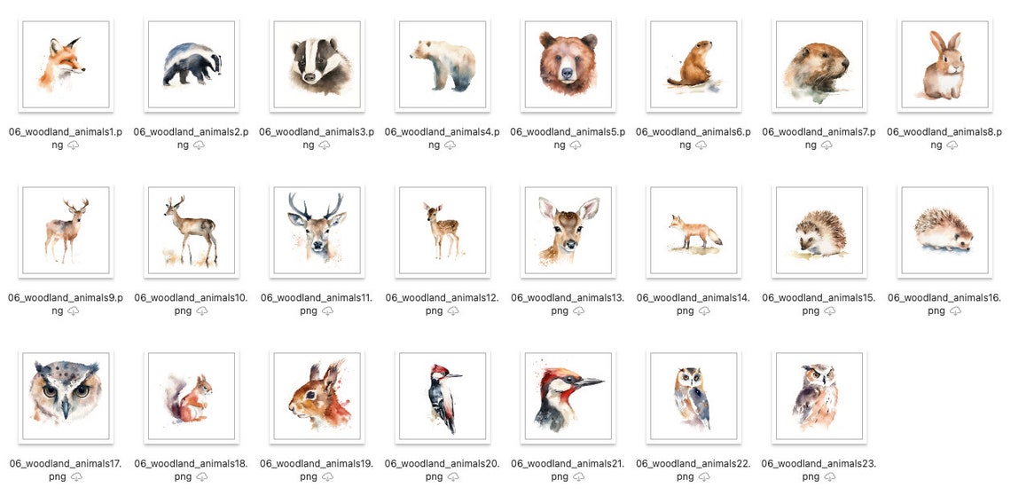 23 Watercolour Cute Woodland Animals Clipart, PNG With Transparency ...
