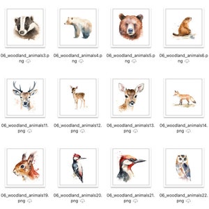 23 Watercolour Cute Woodland Animals Clipart, PNG With Transparency ...