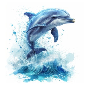 Dolphin Ocean Playful Clipart , 28 High Quality Images Jpgs Digital ...