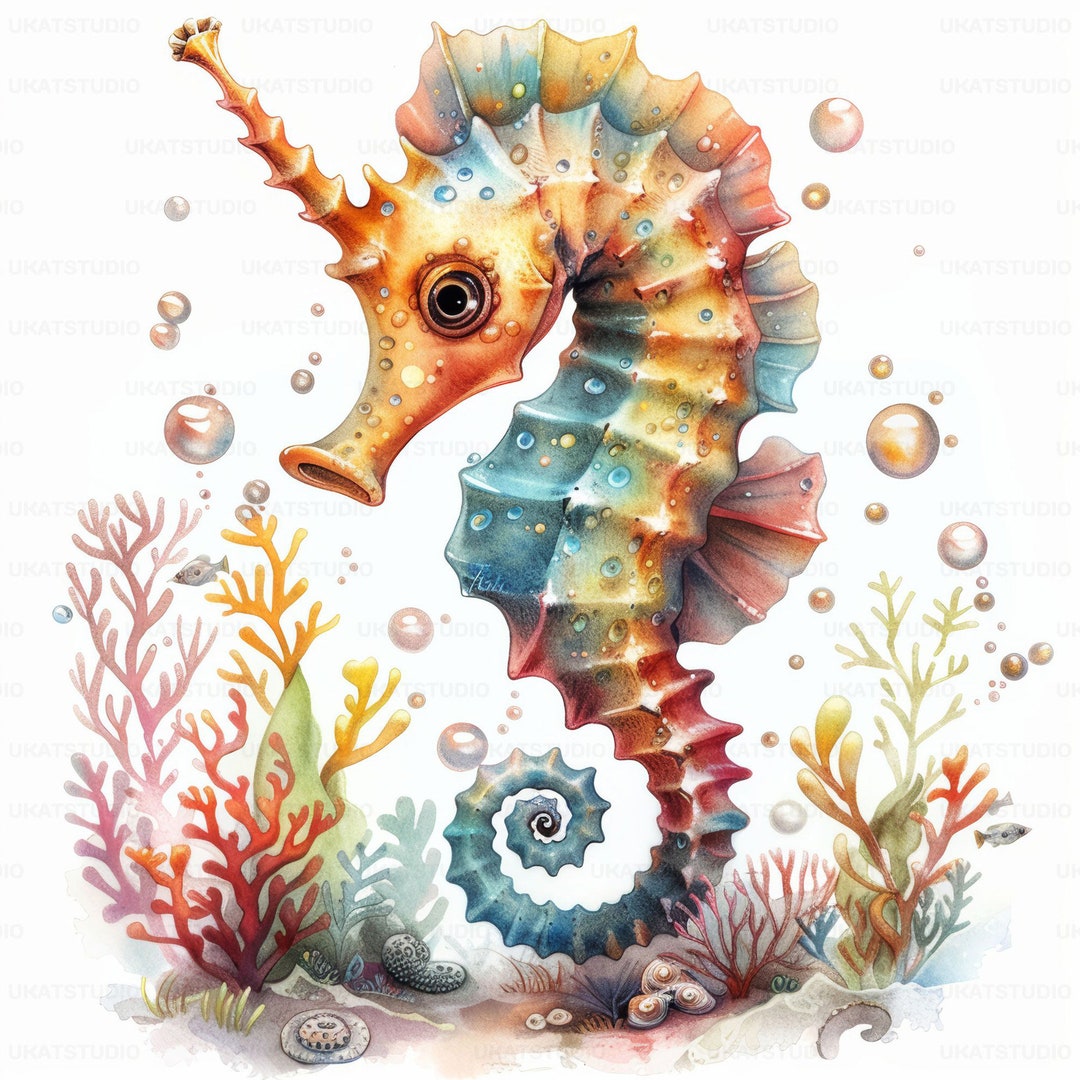 Colorful Seahorse Portrait Clipart , 22 High Quality Images Jpgs ...