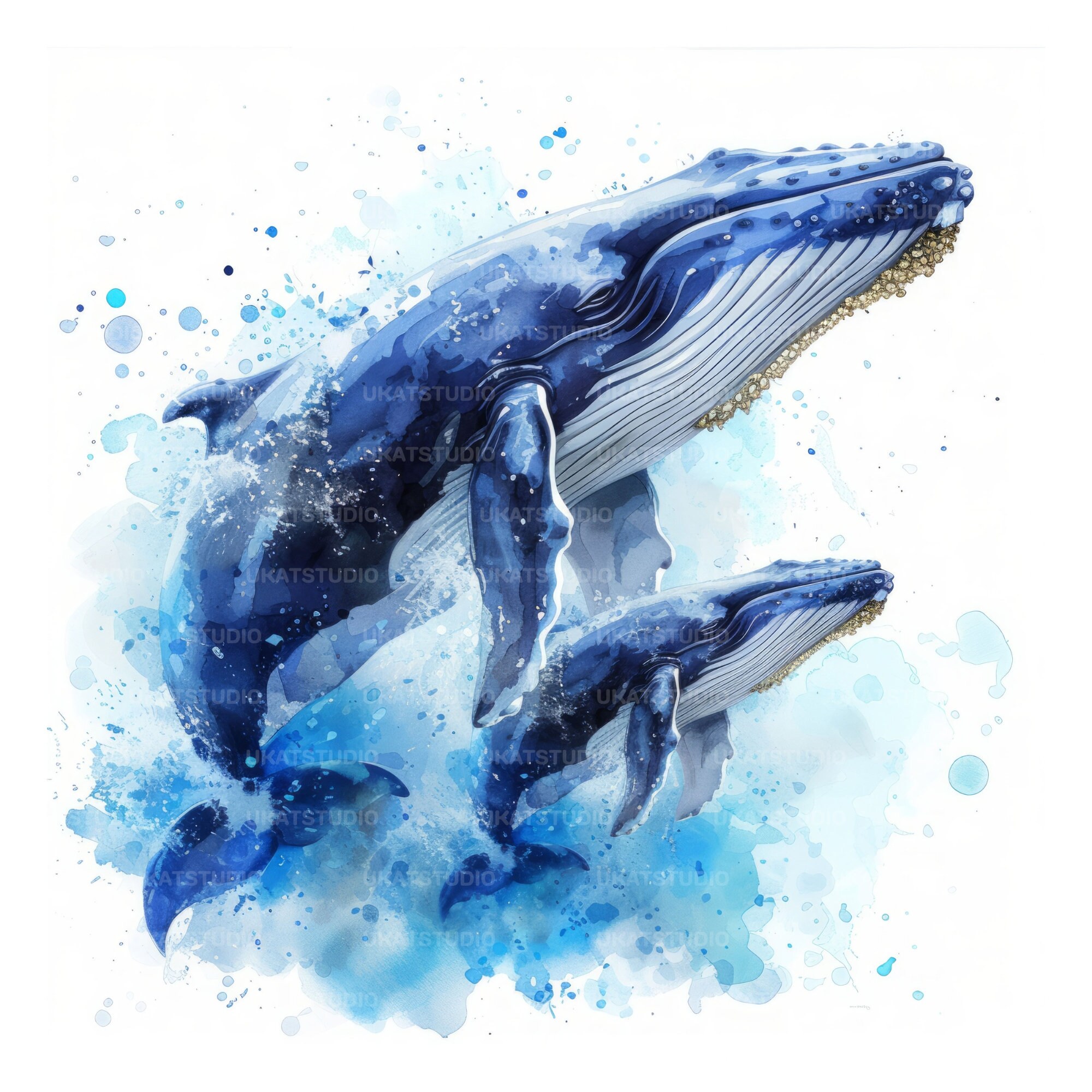 Whale With Ocean Clipart , 22 High Quality Images Jpgs Digital Download ...