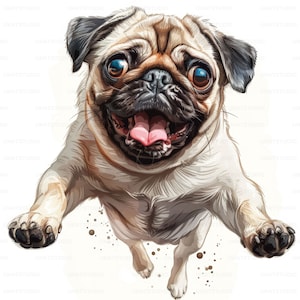 Cute Pug Puppy Clipart , 21 High Quality Images Jpgs Digital Download ...