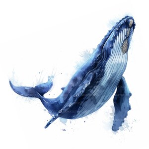 Whale With Ocean Clipart , 22 High Quality Images Jpgs Digital Download ...