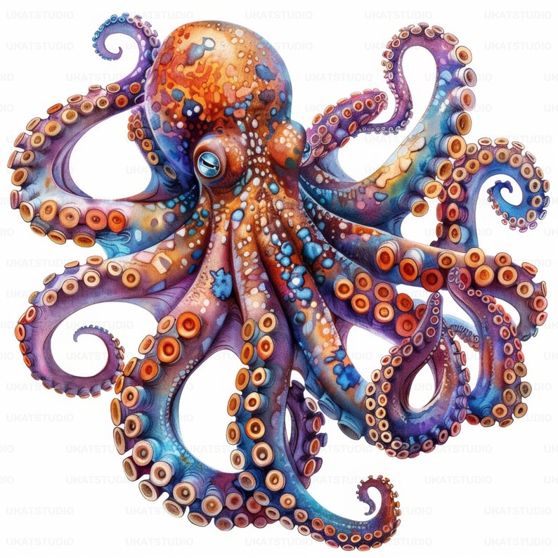 Colorful Octopus Clipart , 21 High Quality Images Jpgs Digital Download ...