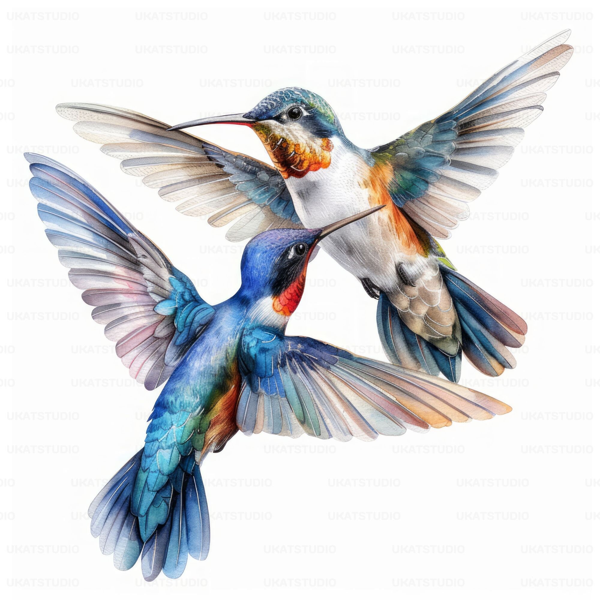 Colorful Fly Couple Hummingbird Clipart , 20 High Quality Images Jpgs ...