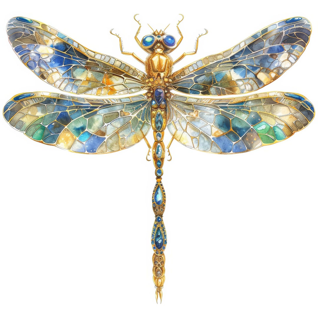 Shine Gems Elegance Dragonfly Clipart , 45 High Quality Images Jpgs ...