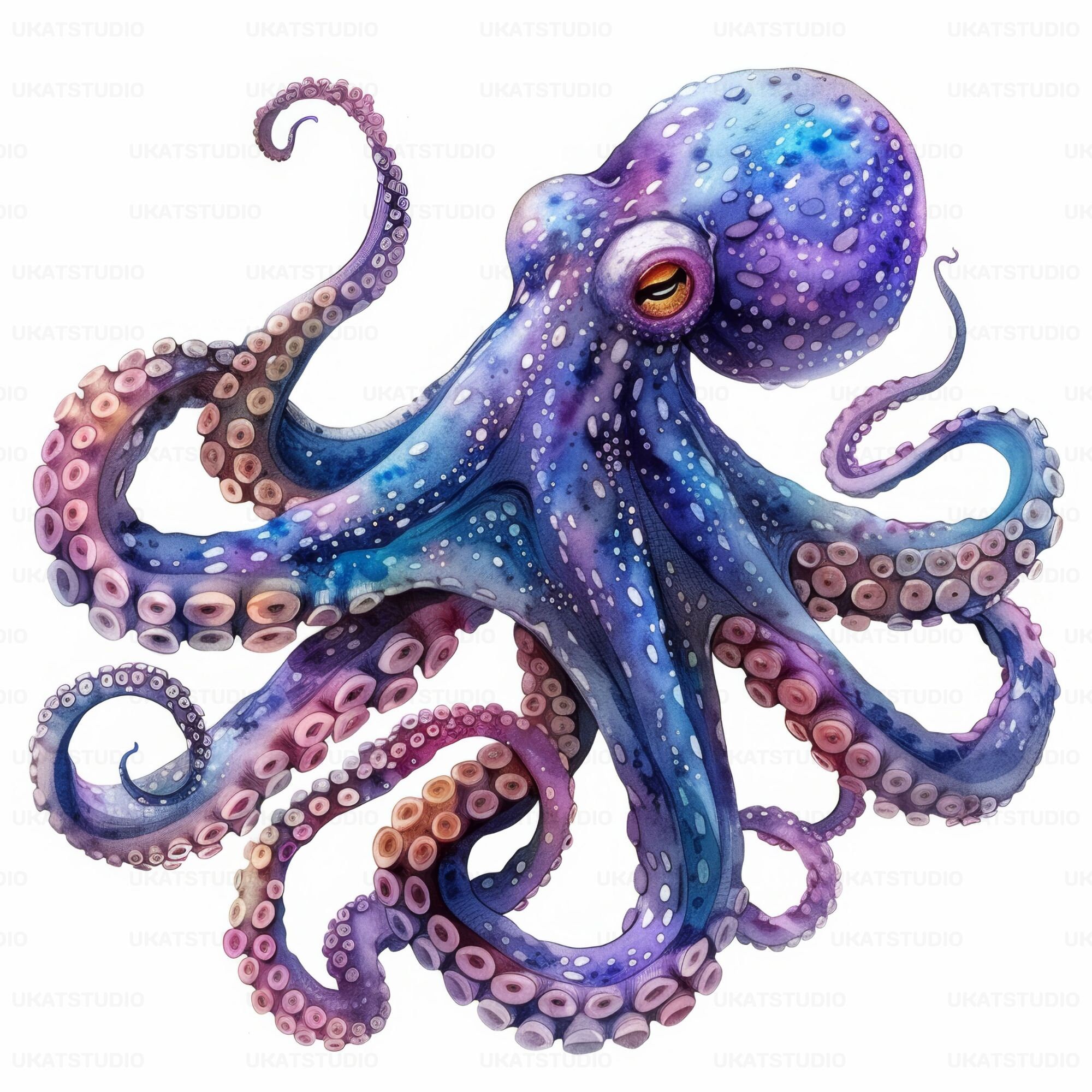 Colorful Octopus Clipart , 21 High Quality Images Jpgs Digital Download ...