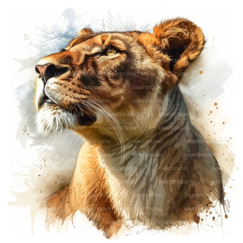 Lioness Clipart , 22 High Quality Images Jpgs Digital Download , Card ...