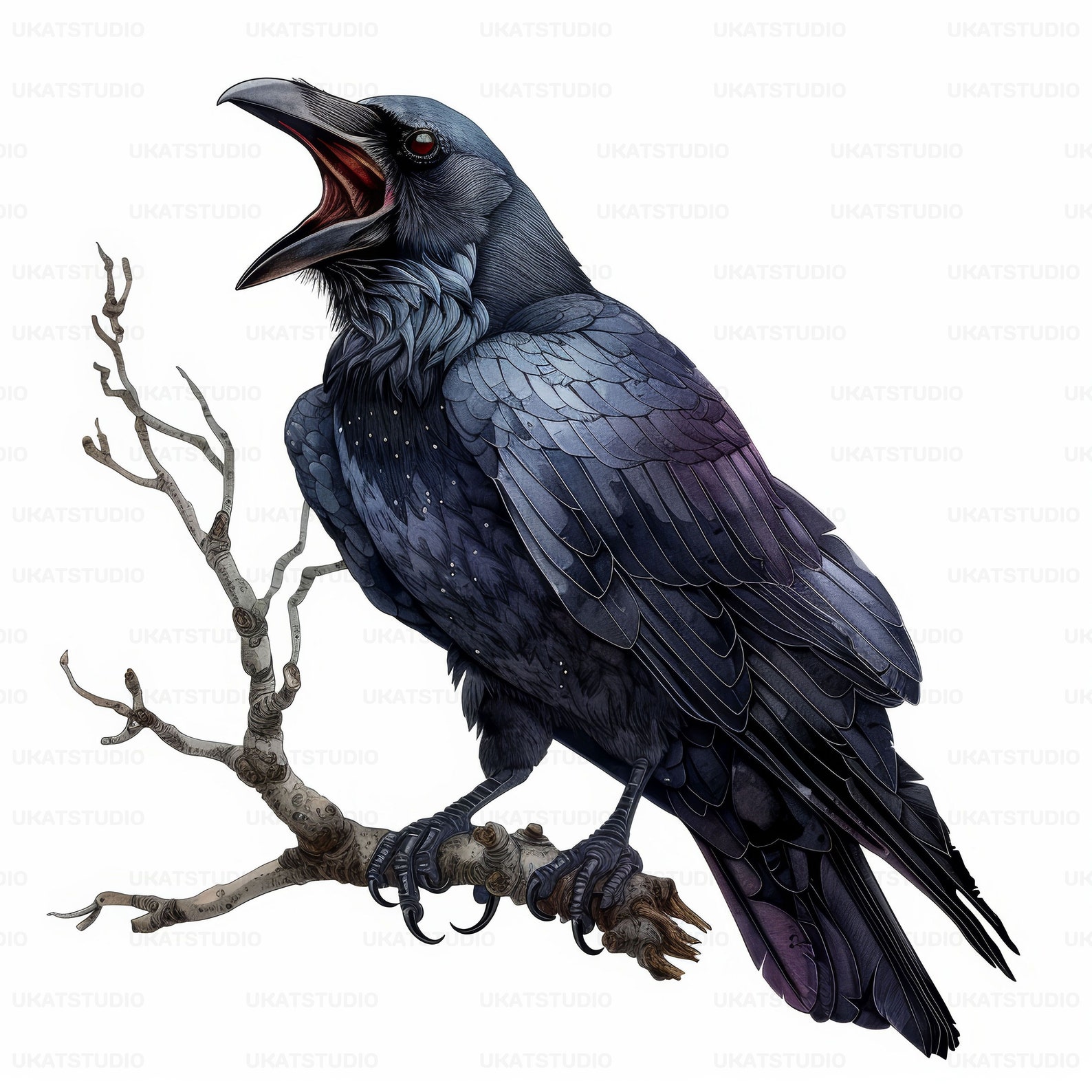 Raven Crow Bird Portrait Clipart , 37 High Quality Images Jpgs Digital ...