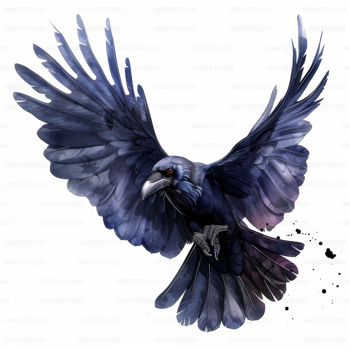Raven Crow Bird Portrait Clipart , 37 High Quality Images Jpgs Digital ...