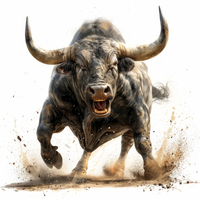 Bull Angry Portrait Clipart , 22 High Quality Images Jpgs Digital ...