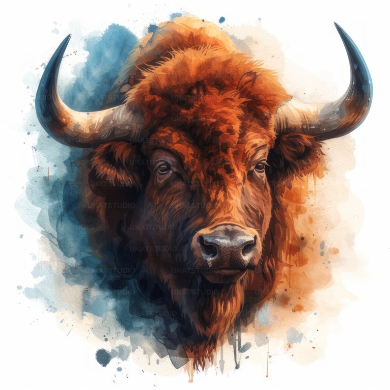 Buffalo Face Portrait Clipart , 12 High Quality Images Jpgs Digital ...