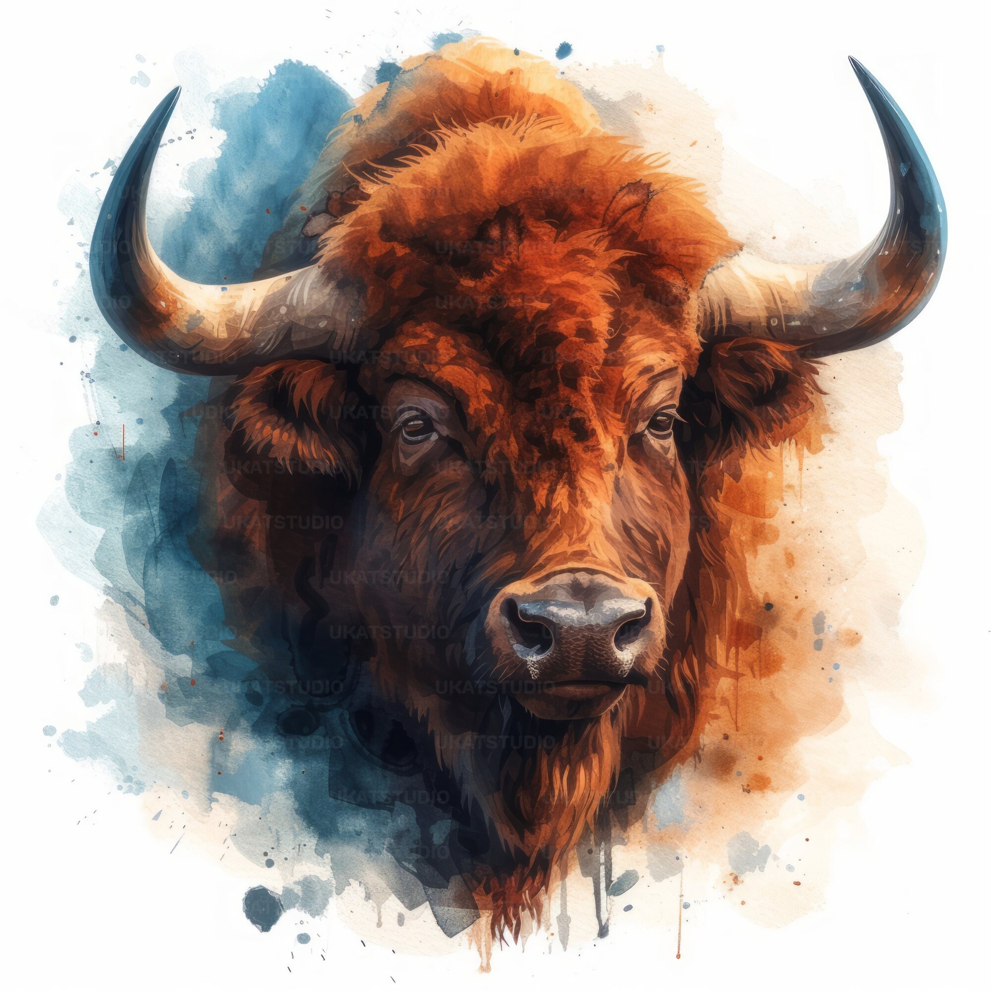 Buffalo Face Portrait Clipart , 12 High Quality Images Jpgs Digital ...