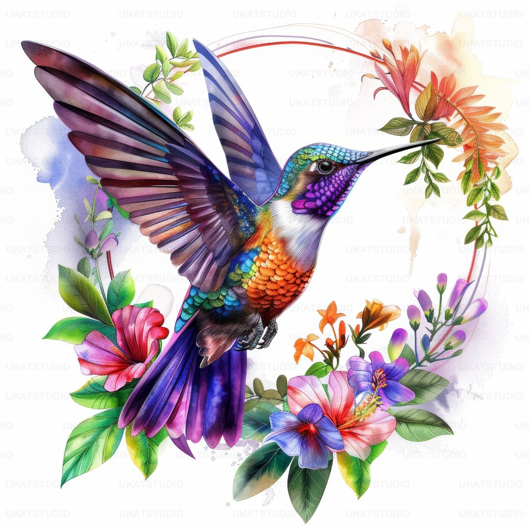 Colorful Hummingbird With Wreath Clipart , 24 High Quality Images Jpgs ...