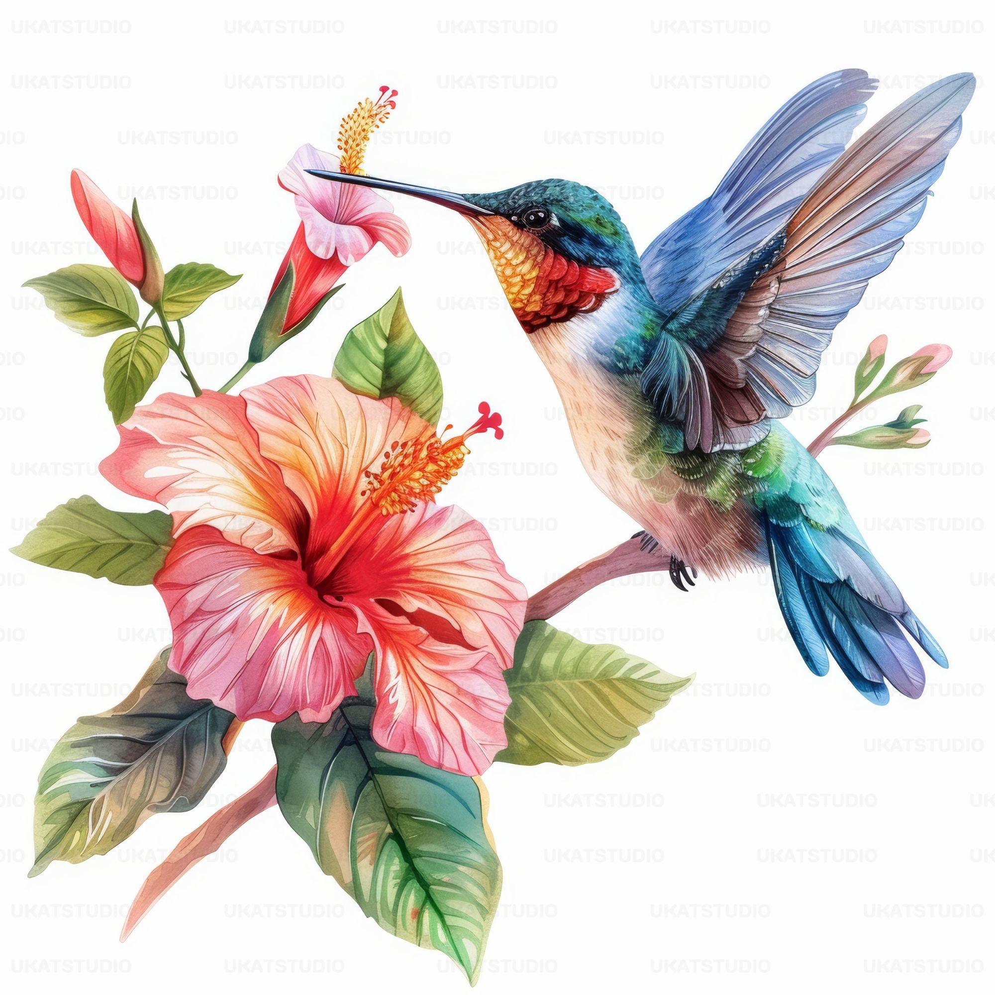 Colorful Hummingbird With Flower Clipart , 27 High Quality Images Jpgs ...