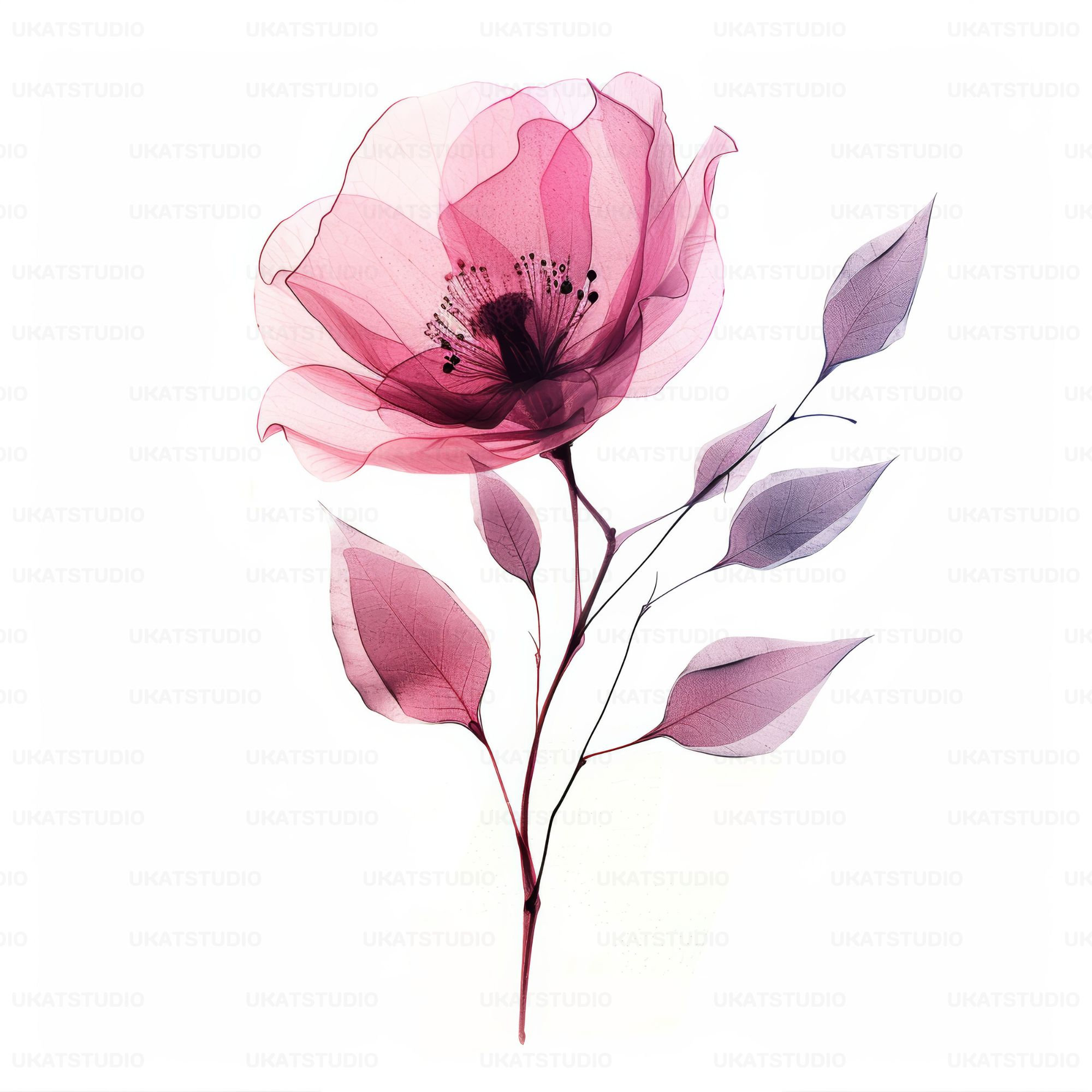 Abstract Pink Flower Stalk Clipart , 25 High Quality Images Jpgs ...
