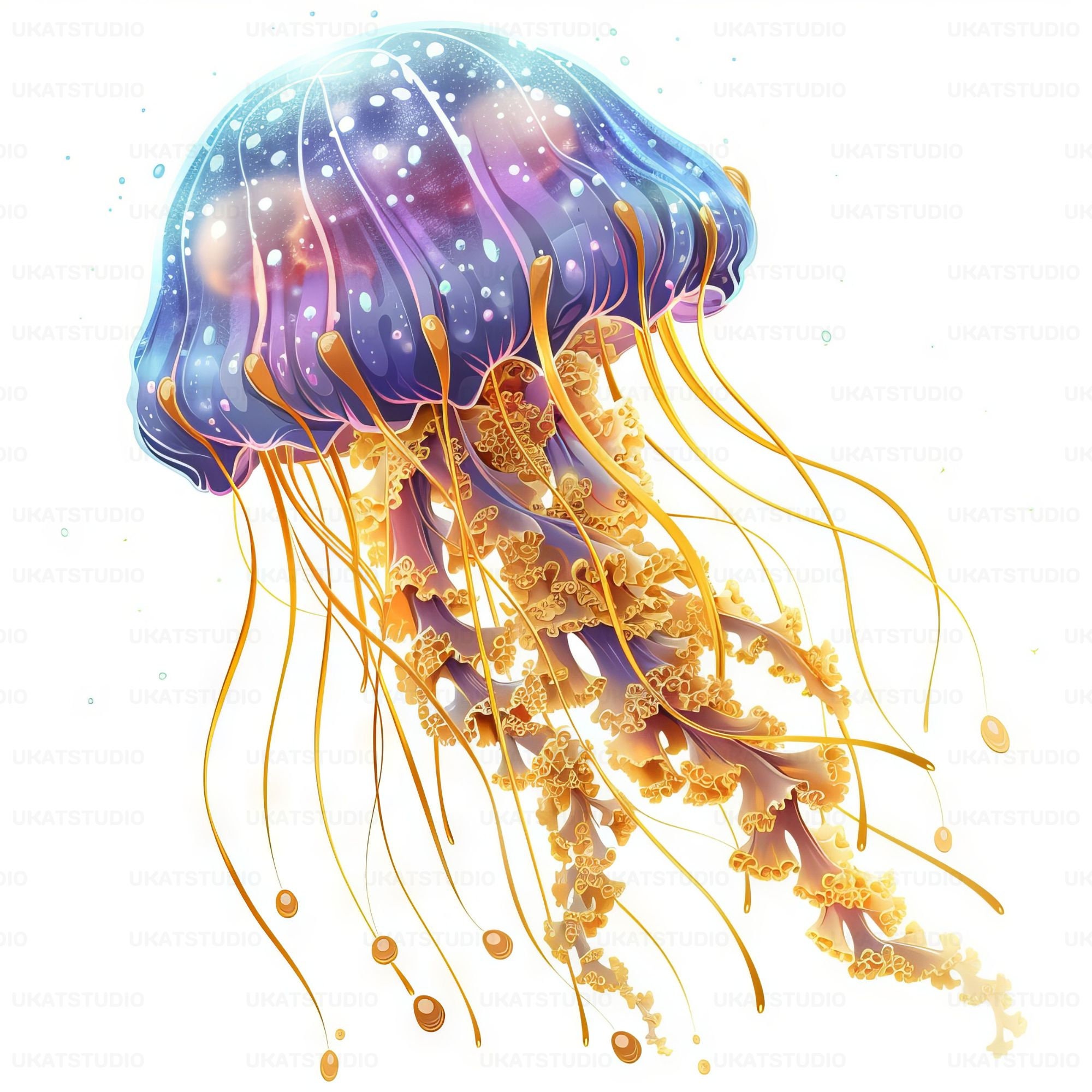 Colorful Jellyfish Ocean Portrait Clipart , 39 High Quality Images Jpgs ...