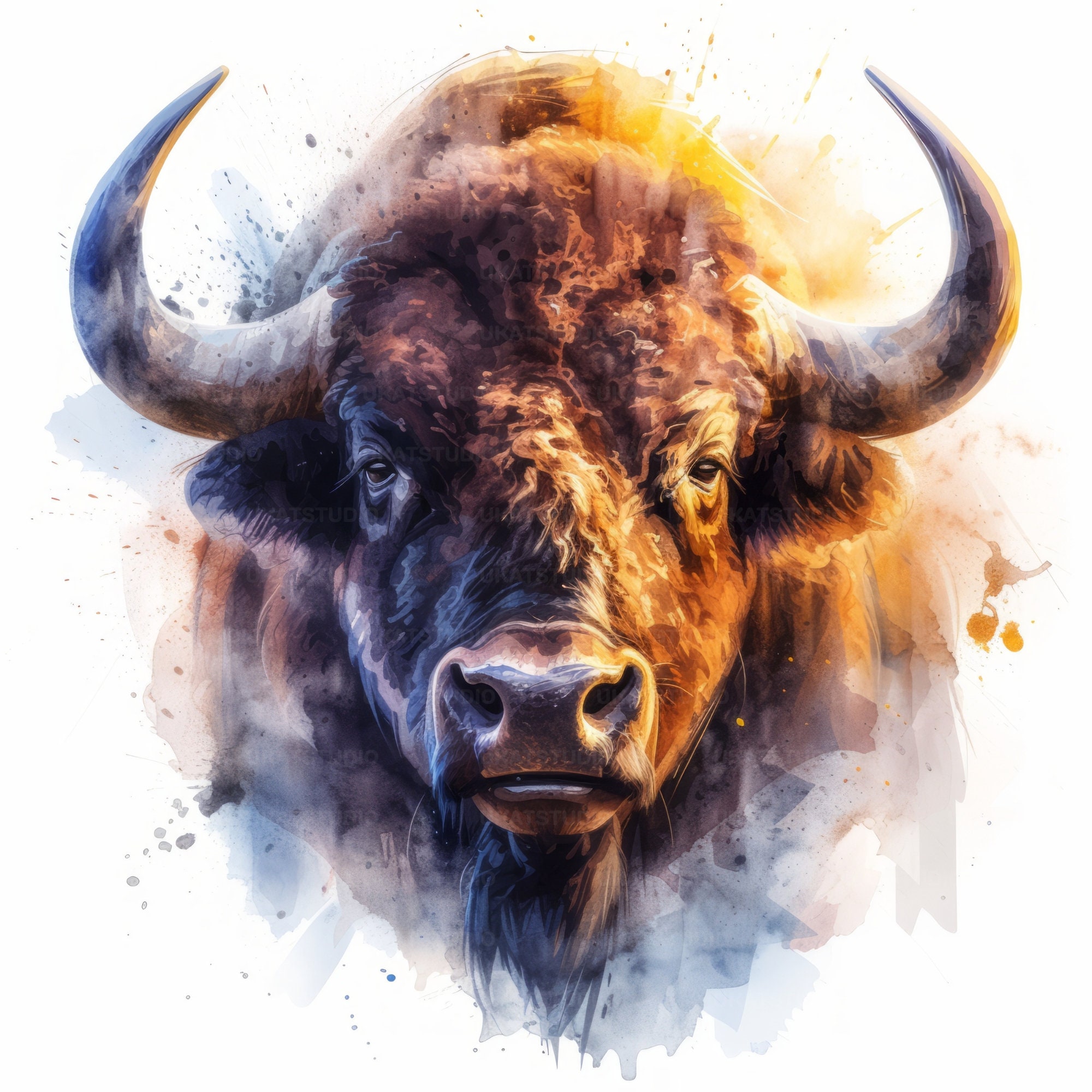 Buffalo Face Portrait Clipart , 12 High Quality Images Jpgs Digital ...