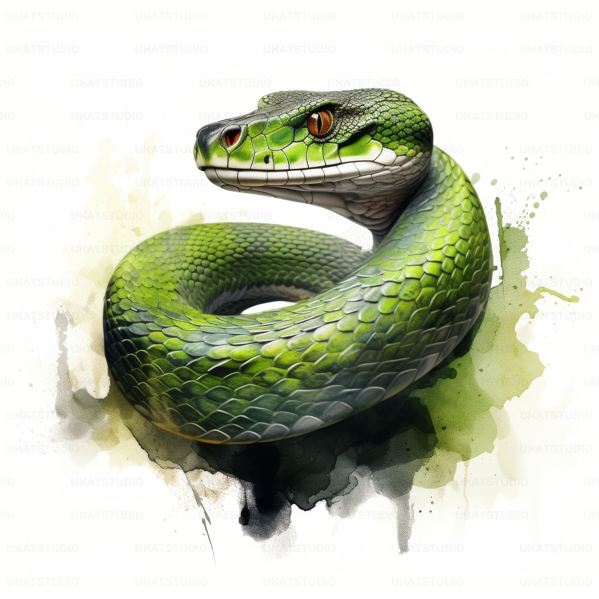 Snake Portrait Clipart , 19 High Quality Images Jpgs Digital Download ...