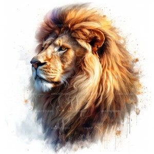 Lion Portrait Clipart , 22 High Quality Images Jpgs Digital Download ...