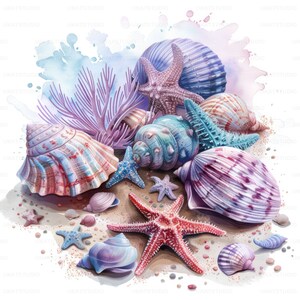 Pastel Shells With Sand Portrait Clipart , 23 High Quality Images Jpgs ...