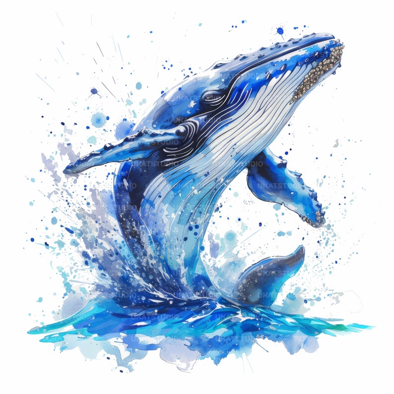 Whale With Ocean Clipart , 22 High Quality Images Jpgs Digital Download ...
