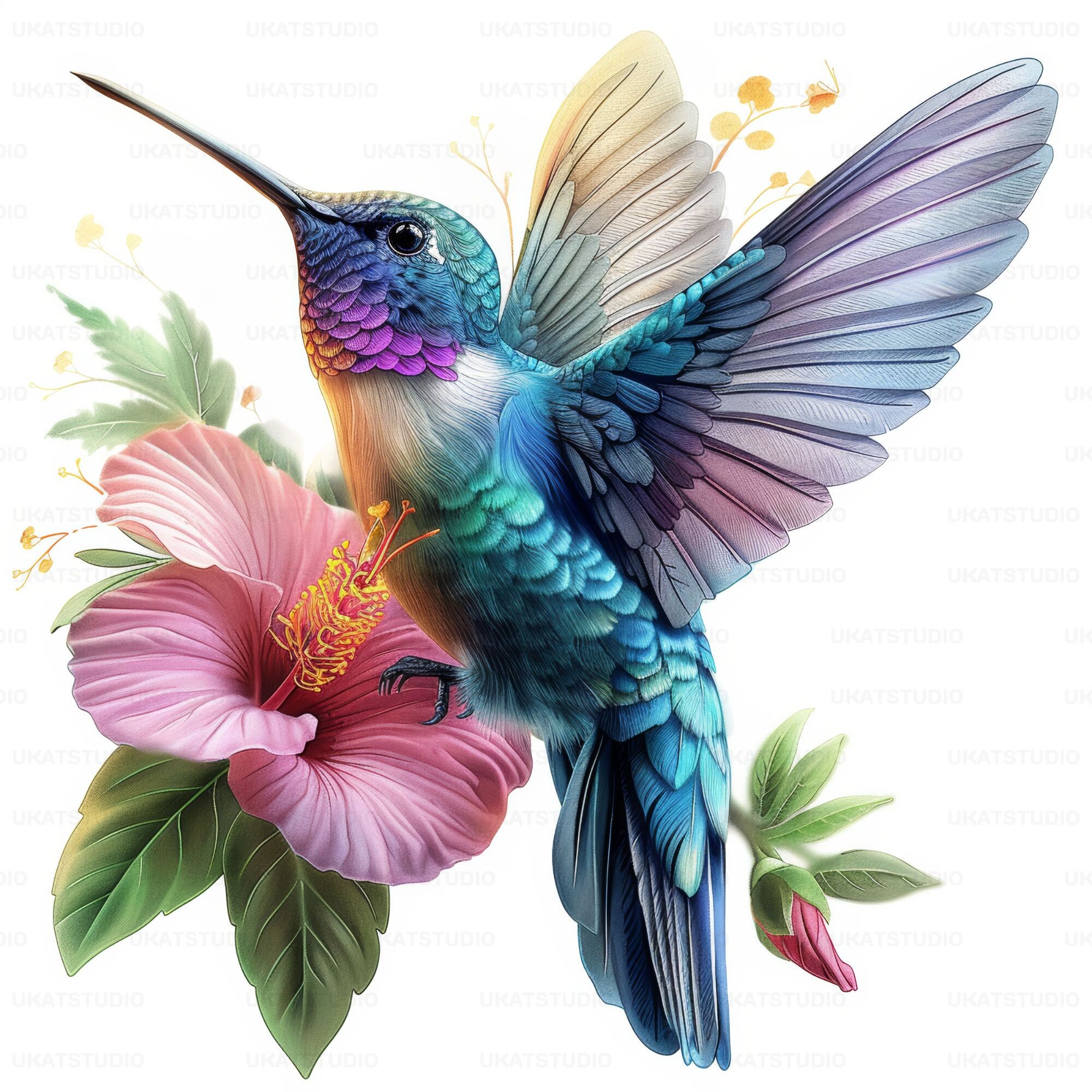 Colorful Hummingbird With Flower Clipart , 27 High Quality Images Jpgs ...