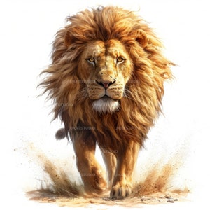 Lion Portrait Clipart , 22 High Quality Images Jpgs Digital Download ...
