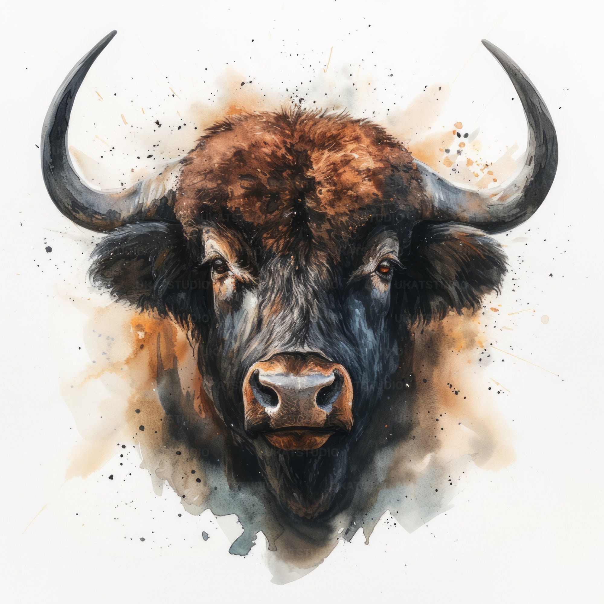 Buffalo Face Portrait Clipart , 12 High Quality Images Jpgs Digital ...
