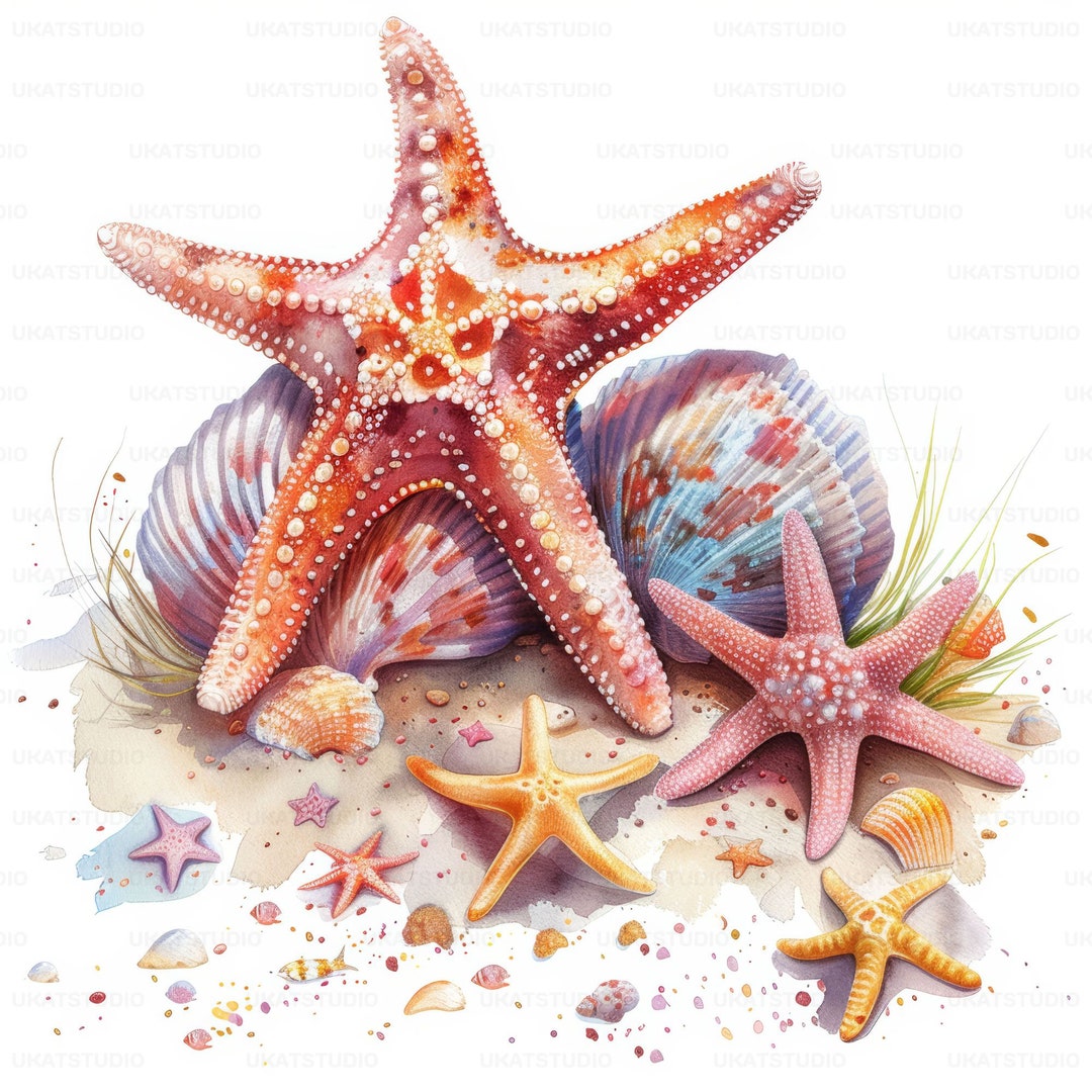 Colorful Starfish Decor Portrait Clipart , 27 High Quality Images Jpgs ...