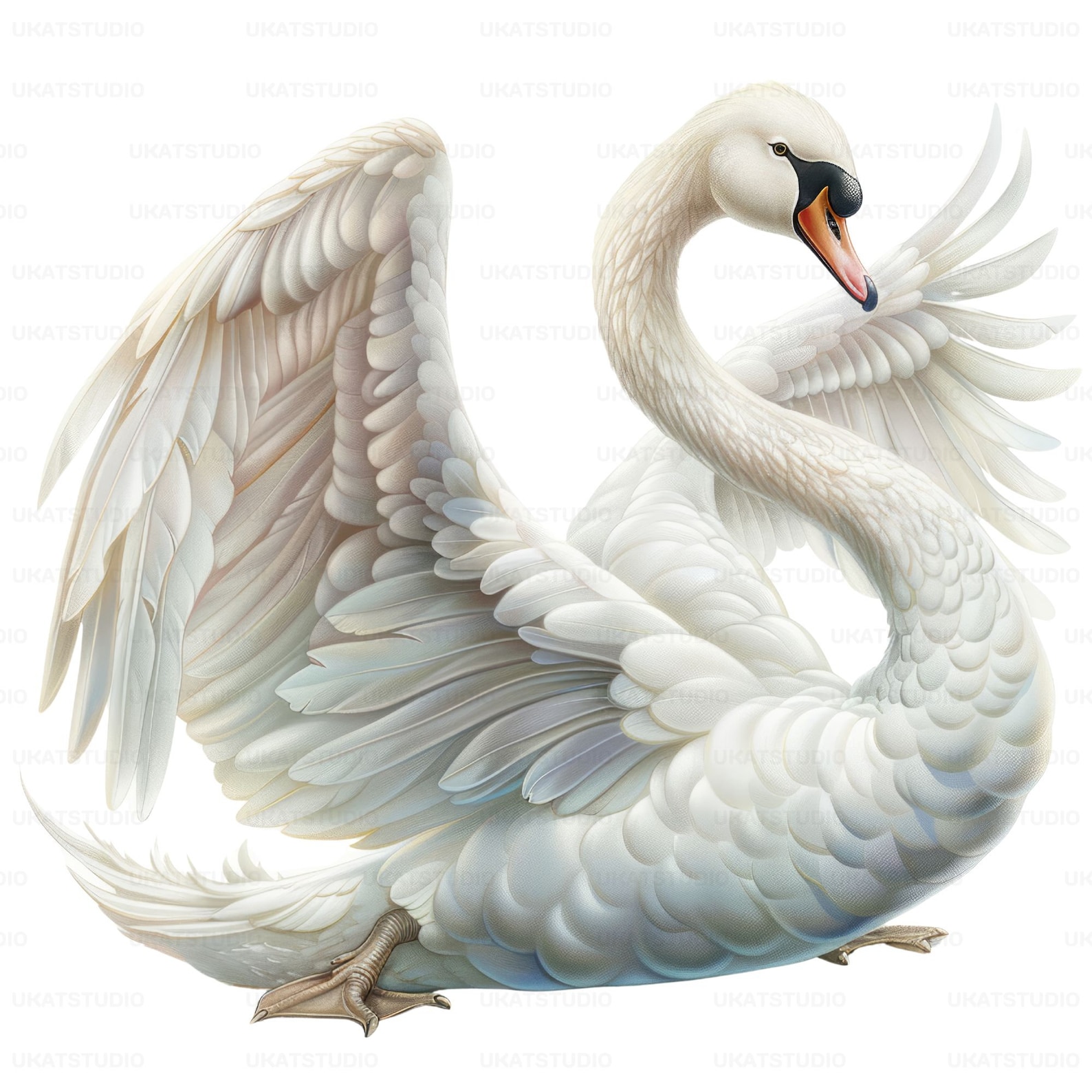 Swan With Pond Portrait Clipart , 10 High Quality Images PNG and Jpgs ...