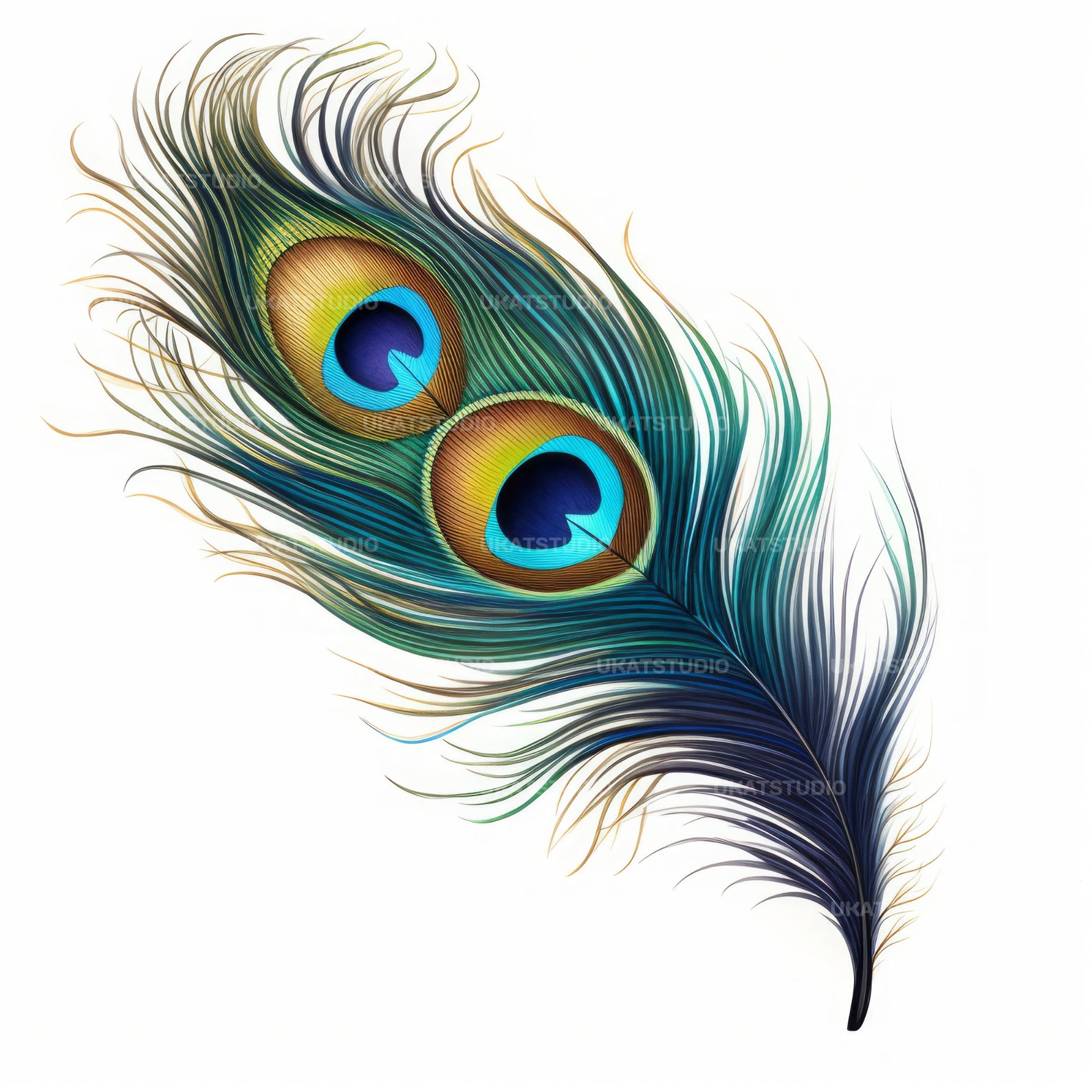 Peacock Feathers Clipart , 25 High Quality Images Jpgs Digital Download ...