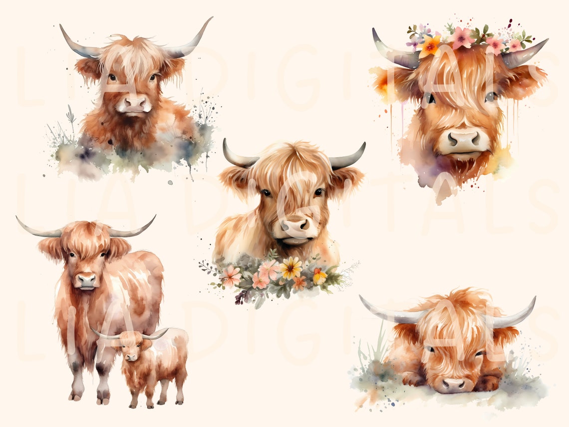 Highland Cow PNG Cow Watercolor Clipart Kawaii Cow Cute Baby - Etsy