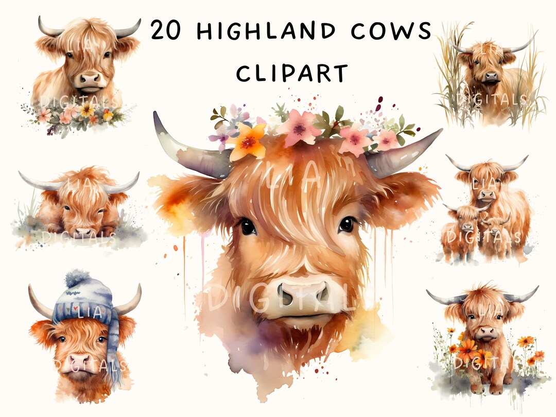 Highland Cow PNG Cow Watercolor Clipart Kawaii Cow Cute Baby Shower ...