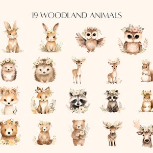 Woodland Animals Clipart Boho Woodland Forest Animals Clipart Cute ...