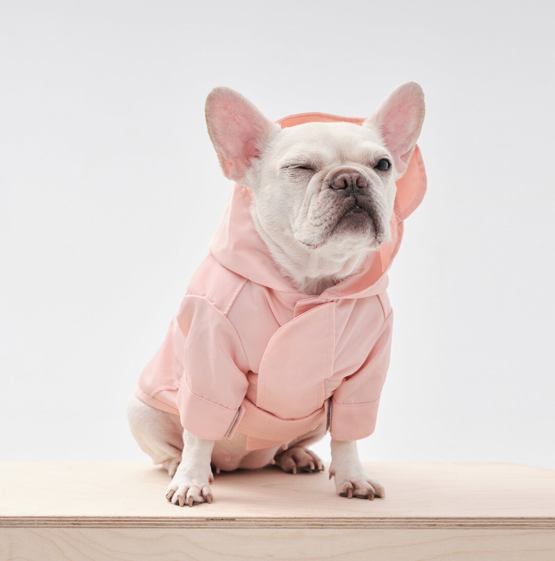 Dog Raincoat With Hood Tribeca Adjustable Velcro Raincoat Pink - Etsy