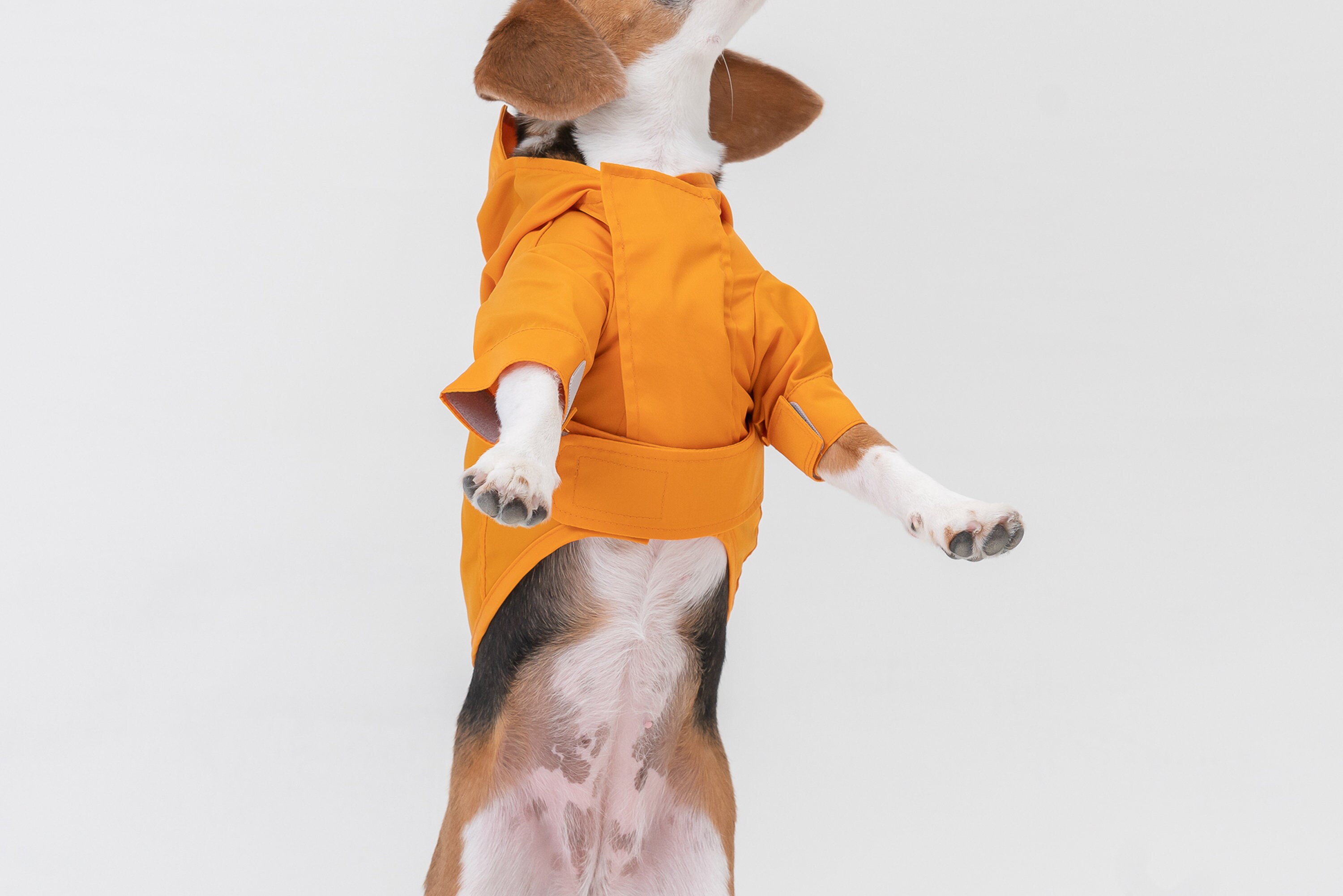 Dog Raincoat With Hood Tribeca Adjustable Velcro Raincoat Pink - Etsy