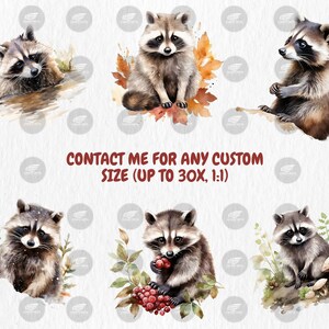 Watercolor Raccoon Clipart: 40 Woodland Animal Designs (digital ...