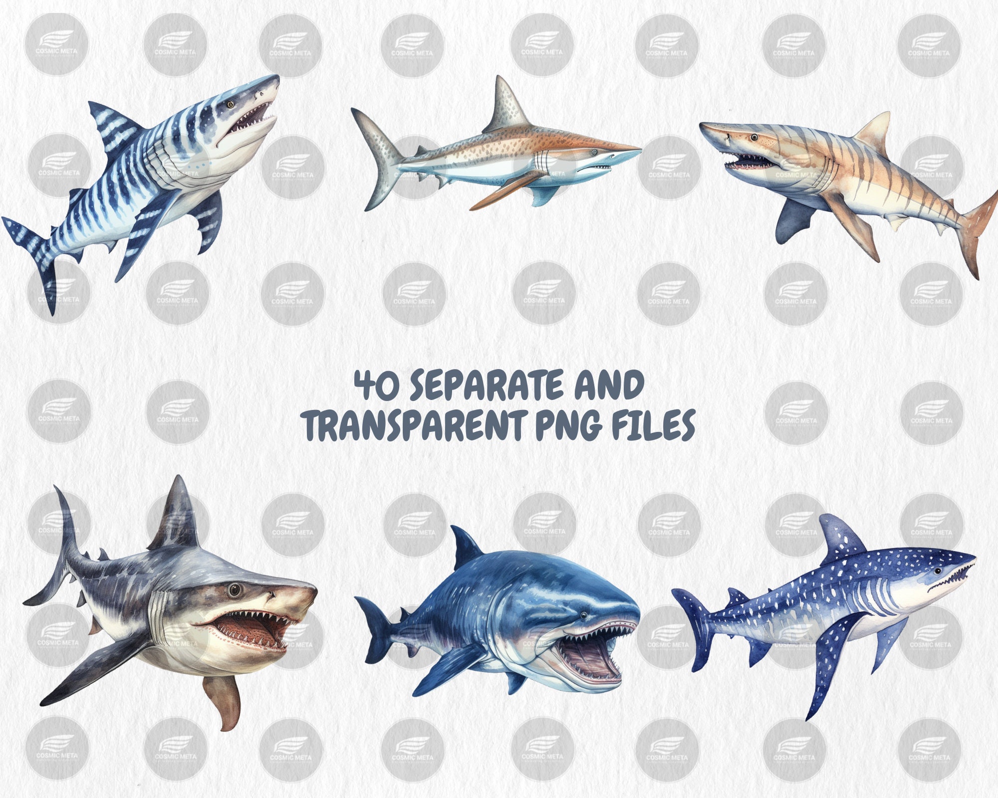 Watercolor Sharks Clipart: Sea Animal Illustrations (instant Download ...