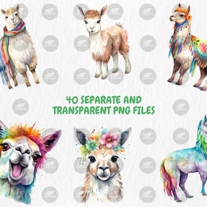 Watercolor Llamas Clipart | Cute Adorable Llama, Alpaca, Party Animal ...