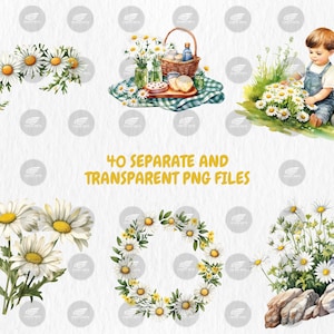 Watercolor Daisies Clipart | Spring Flower, Floral Bouquet, White ...