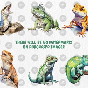 Watercolor Lizards Clipart | Chameleon, Gecko, Bearded Dragon, Iguana ...