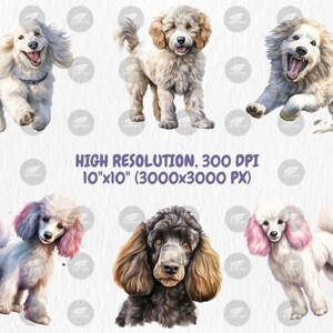 Watercolor Poodles Clipart | Cute Dog, Puppy, Animal, Dog Breed, Dog ...